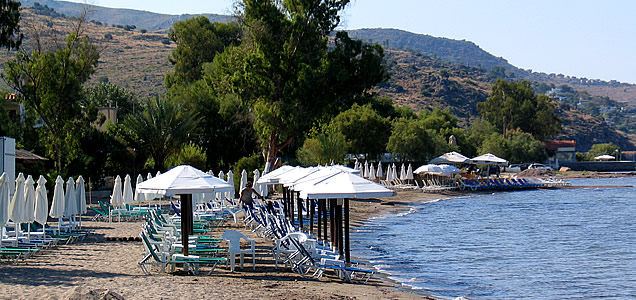 Marathonas A beach - AEGINAGREECE.com